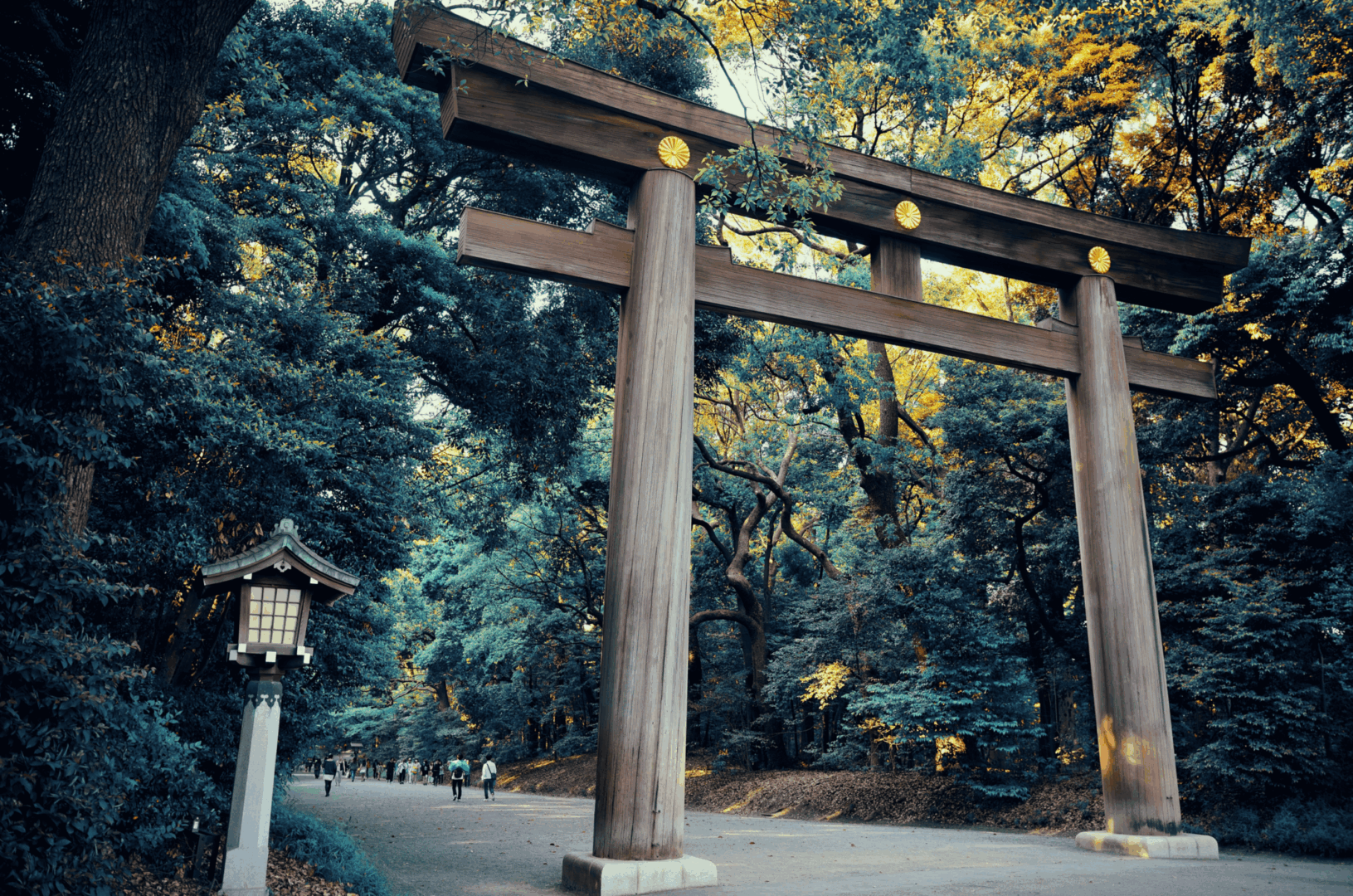 What Is a Torii Gate? Exploring Japan’s Sacred Shrine Entrance - ⛩️Jin ...